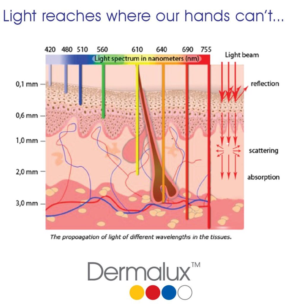 Dermalux LED Photo-Therapy Treatment | Lincoln Laser Skin Care